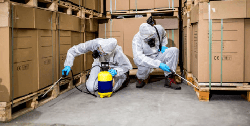 Magic Pest Control: Wulkuraka's Fastest and Most Reliable Pest ...